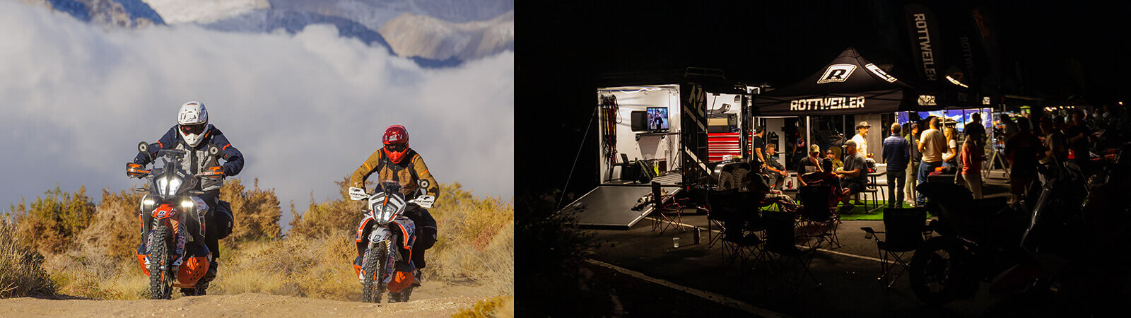 rottweilerperformance